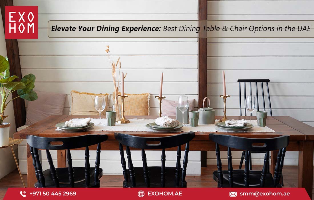 Top Dining Table and Chair Options to Enhance Your Dining Experience in ...